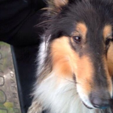 Front Differential | Ranger6G - 2024+ Ranger & Raptor Forum, News ...