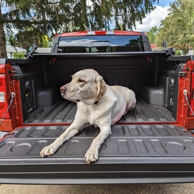 2024 Ranger / Ranger Raptor Order Guide | Page 2 | Ranger6G - 2024 ...