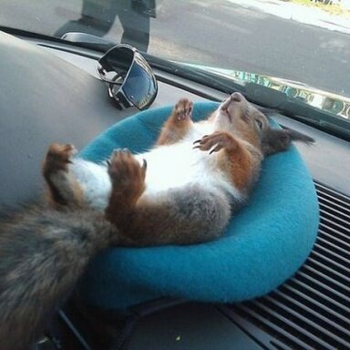 FORScan NA Ranger 6th Gen (2024+) Crowdsourced Spreadsheet | Ranger6G ...