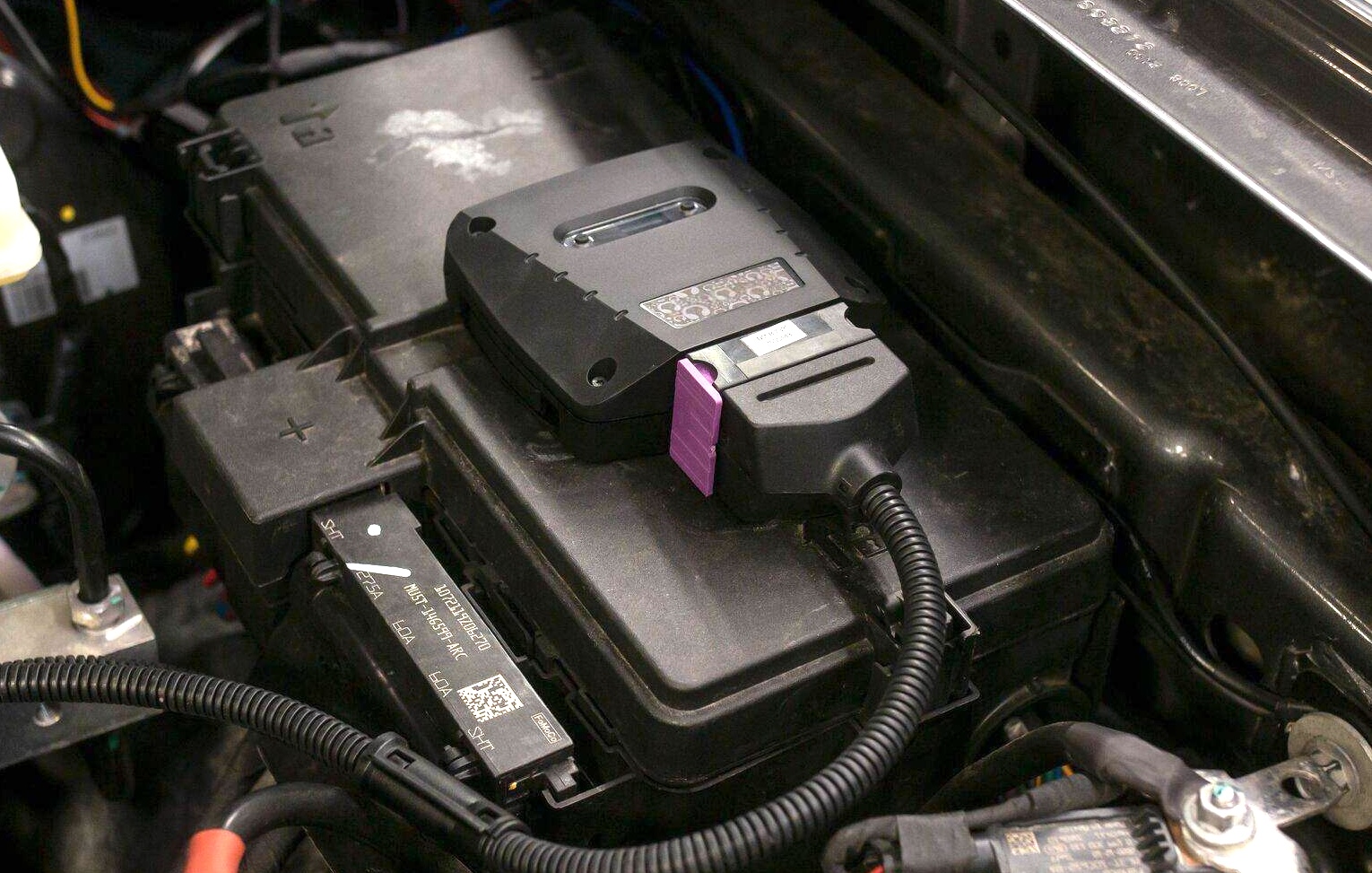 The Panda Power Module is HERE! Ranger Raptor 3.0L Tuning Solution by ...