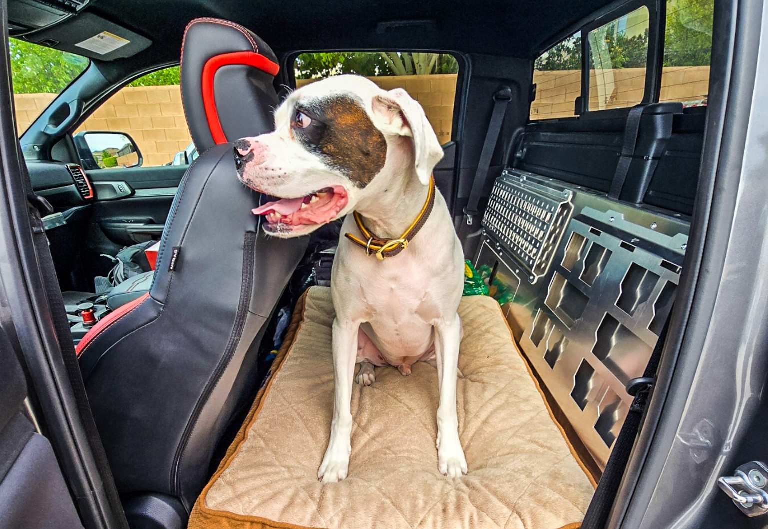 Weekend Test Run – Ranger Rear Seat Delete with Willys the Boxer ...